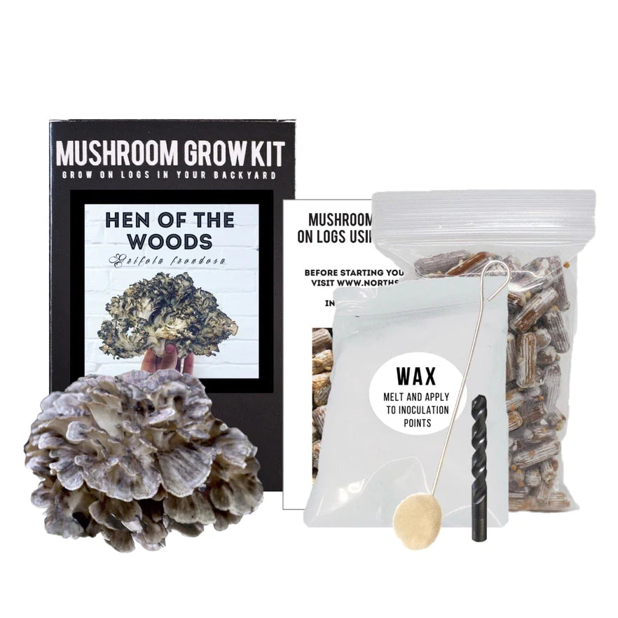 Organic Hen of the Woods (Maitake) Outdoor Log Growing Kit